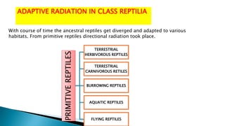 Adaptive radiation in reptiles copy | PPTX