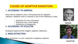 Adaptive radiation in reptiles copy | PPTX