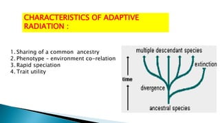Adaptive radiation in reptiles copy | PPTX