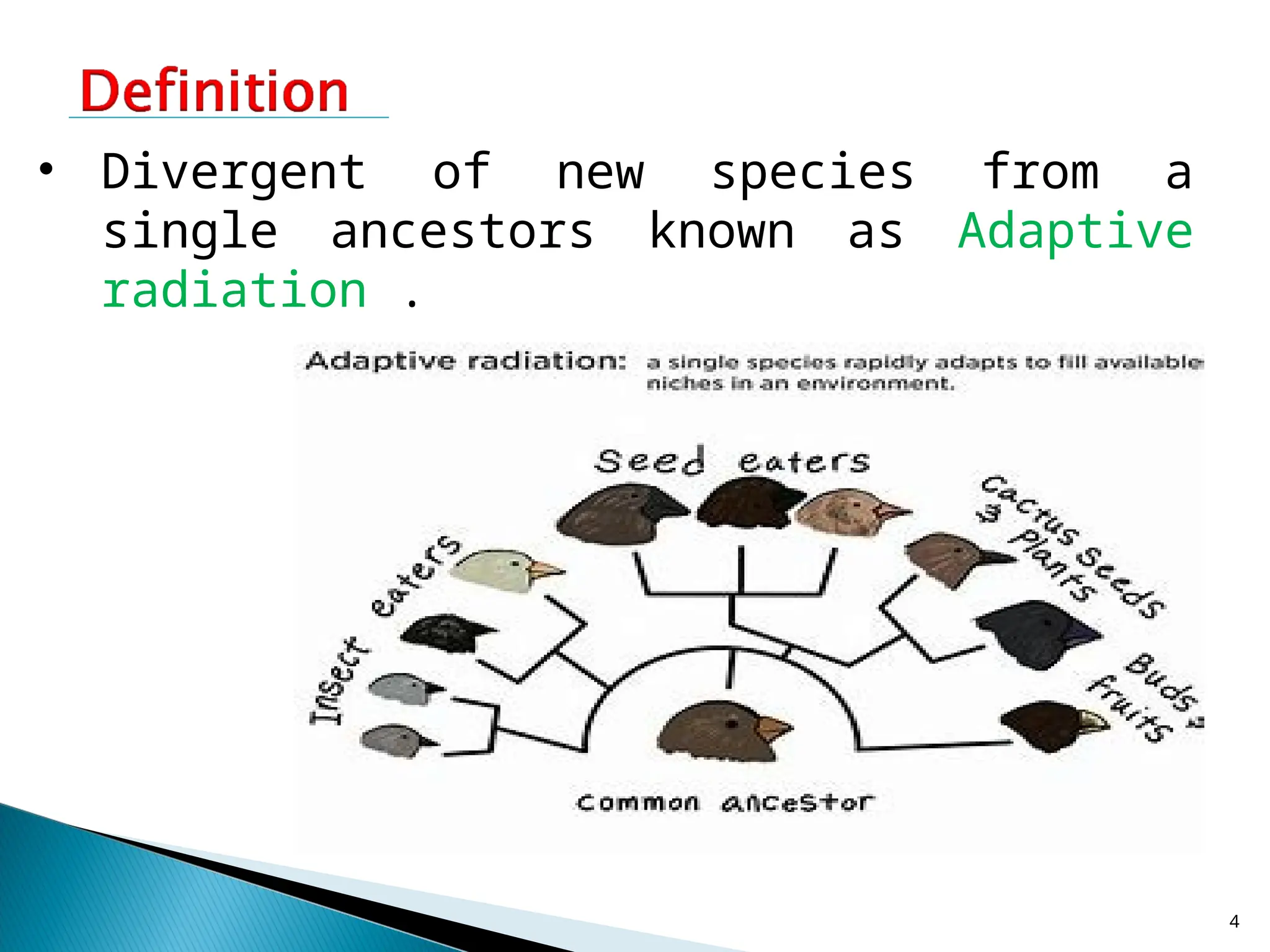 Adaptive Radiation in Vertebrate: Aquatic, Arboreal, fossorial | PPT