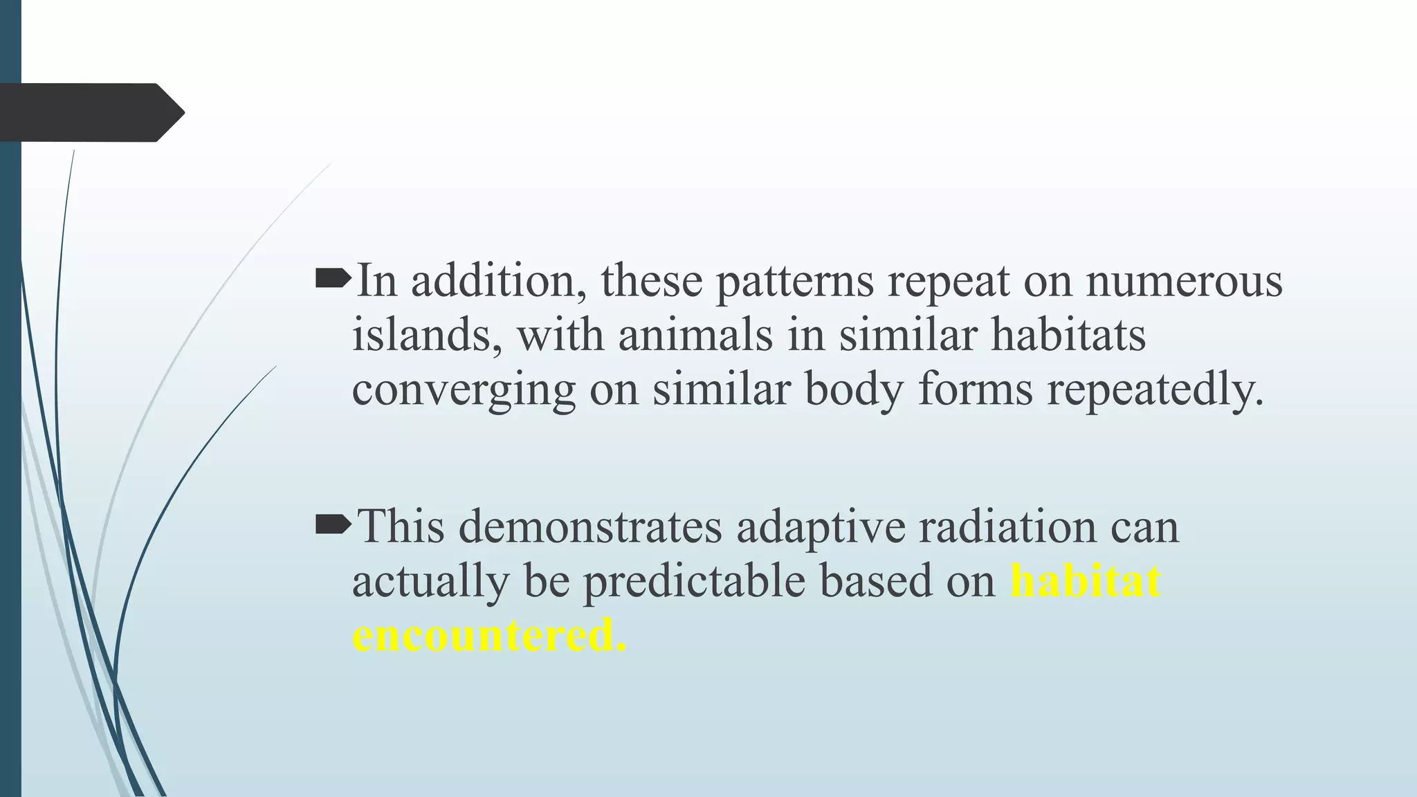 Adaptive Radiations | PPTX