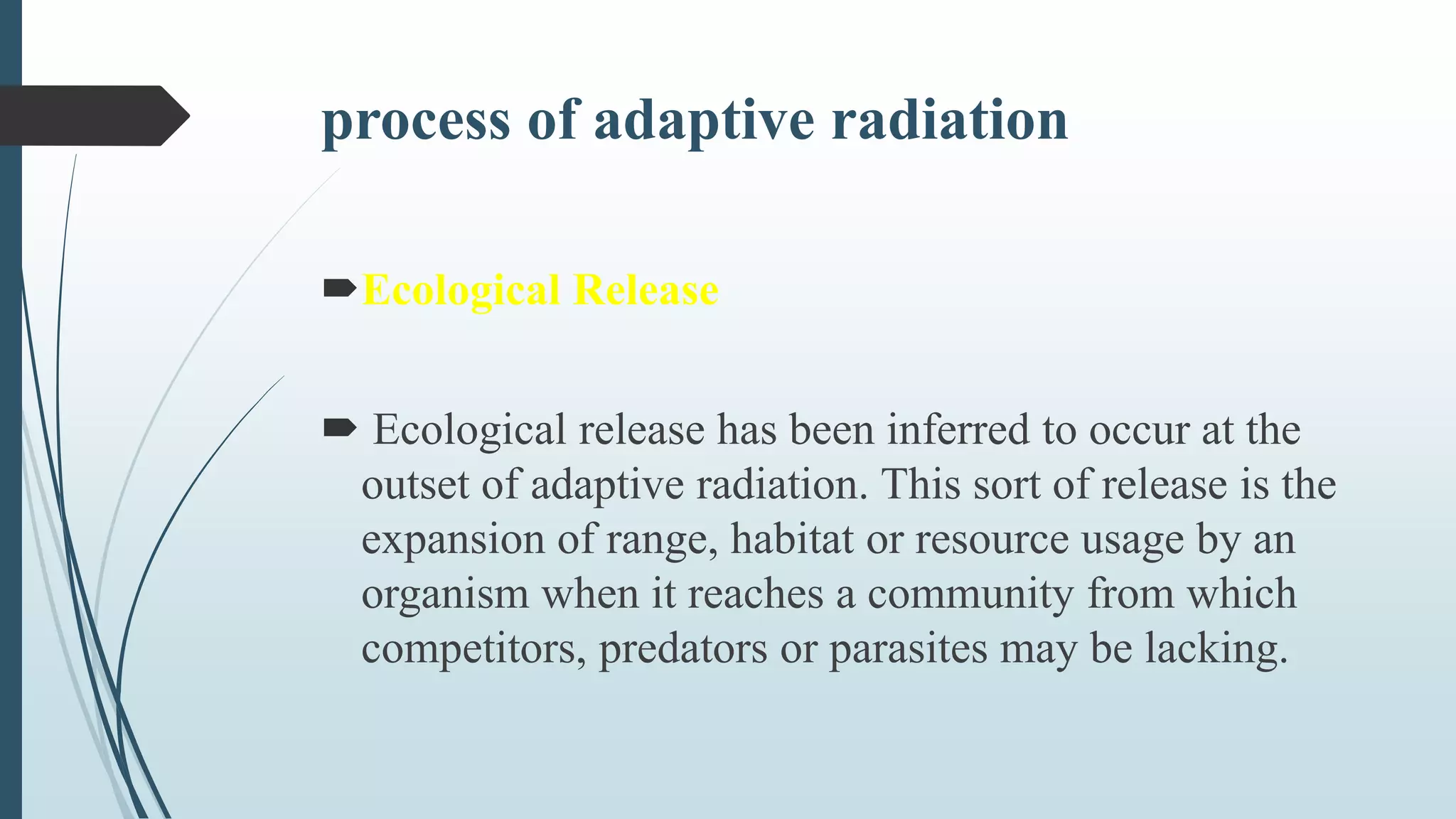 Adaptive Radiations | PPTX