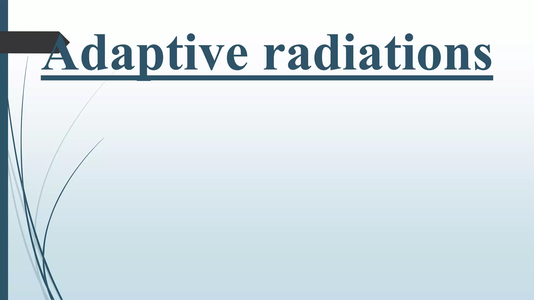 Adaptive Radiations | PPTX