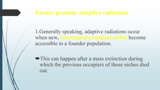 Adaptive Radiations | PPTX