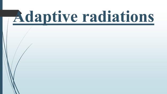 Adaptive Radiations | PPTX | Genetics | Science