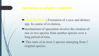 Adaptive Radiations | PPTX