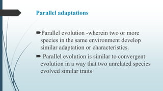 Adaptive Radiations | PPTX
