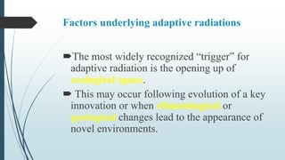 Adaptive Radiations | PPTX