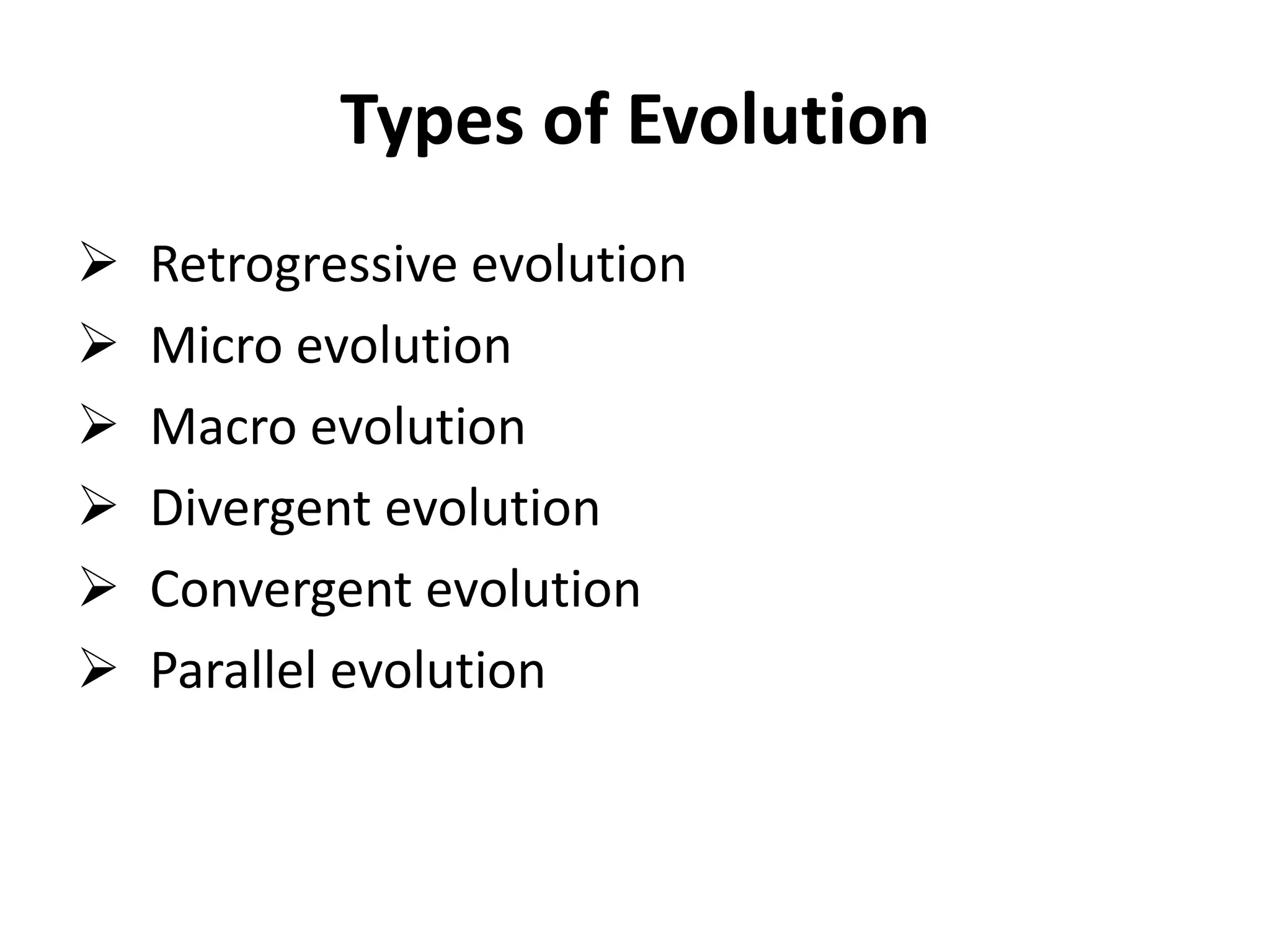 Adaptive Radiations in Birds.pptx
