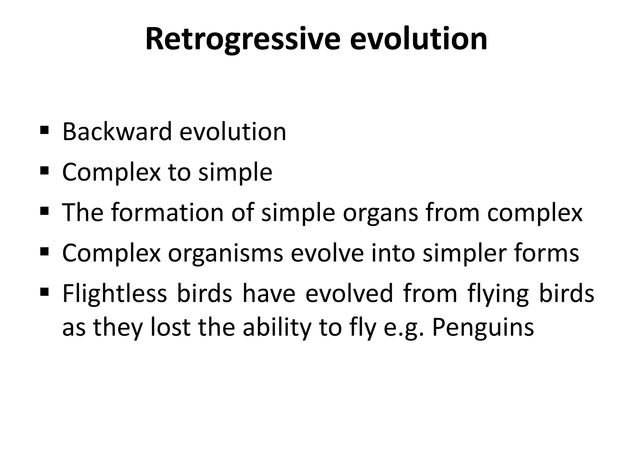 Adaptive Radiations in Birds.pptx