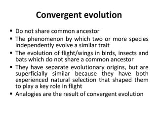 Adaptive Radiations in Birds.pptx