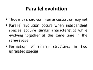 Adaptive Radiations in Birds.pptx