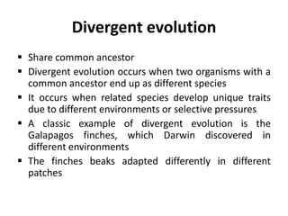 Adaptive Radiations in Birds.pptx