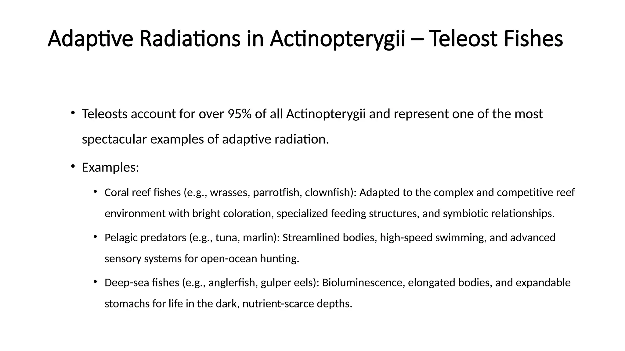 Adaptive_Radiations_in_Chondrichthyes_and_Actinopterygii[1].pptx