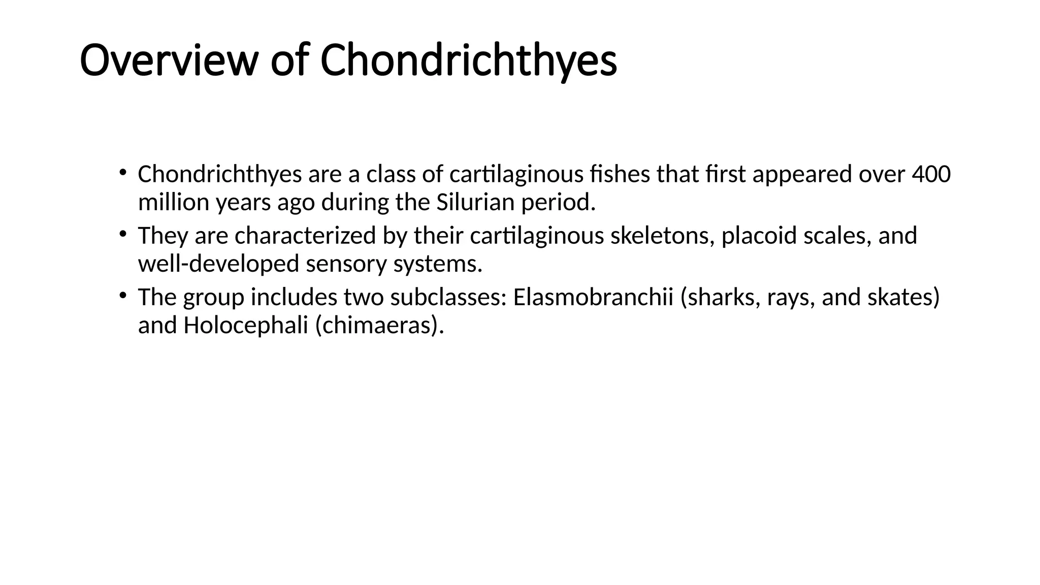 Adaptive_Radiations_in_Chondrichthyes_and_Actinopterygii[1].pptx