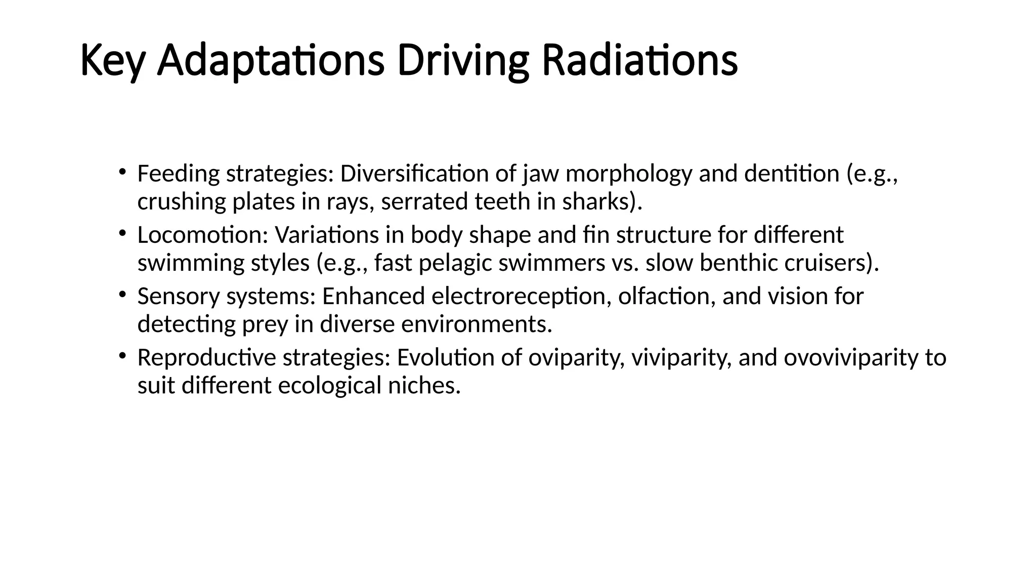 Adaptive_Radiations_in_Chondrichthyes_and_Actinopterygii[1].pptx