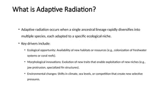 Adaptive_Radiations_in_Chondrichthyes_and_Actinopterygii[1].pptx