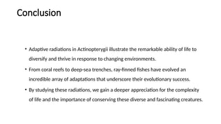 Adaptive_Radiations_in_Chondrichthyes_and_Actinopterygii[1].pptx