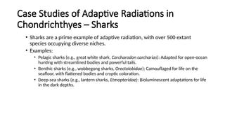 Adaptive_Radiations_in_Chondrichthyes_and_Actinopterygii[1].pptx