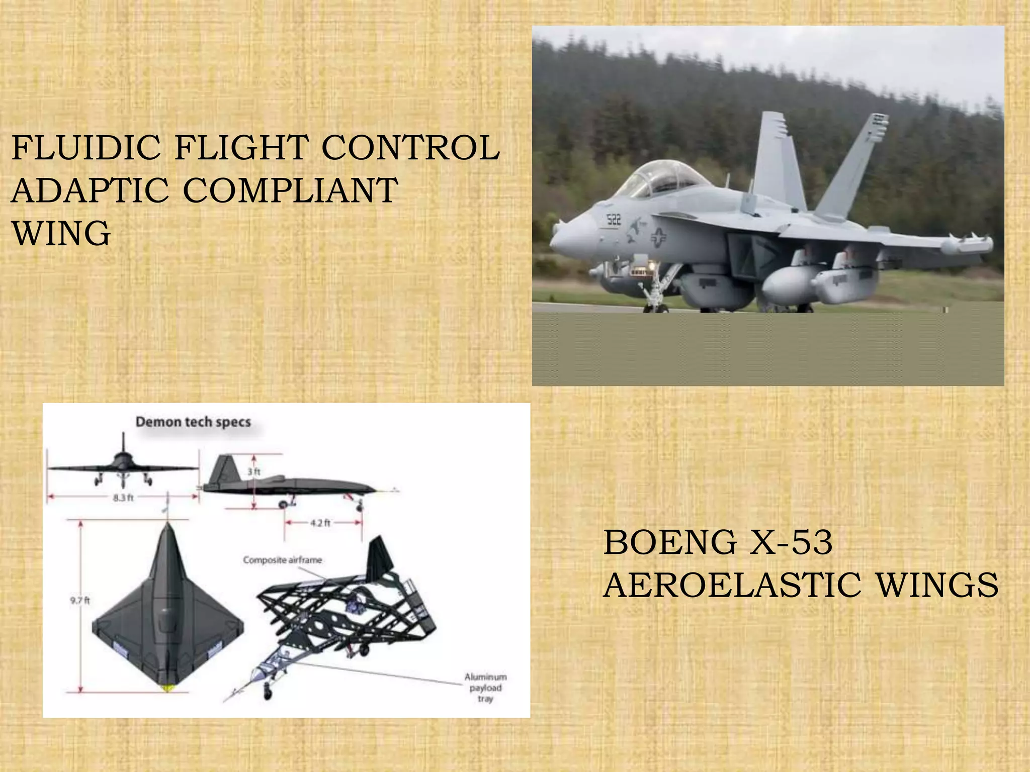 Adaptive wings | PPTX