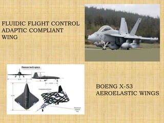 Adaptive wings | PPTX