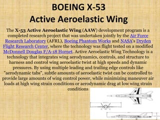 Adaptive wings | PPTX