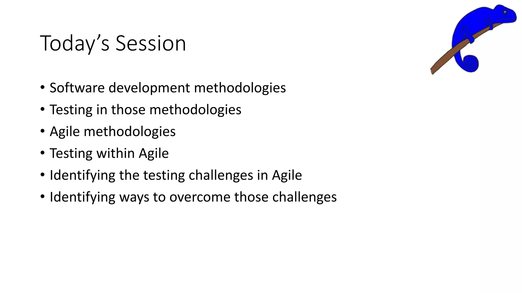 Adapt your testing for Agile | PPTX