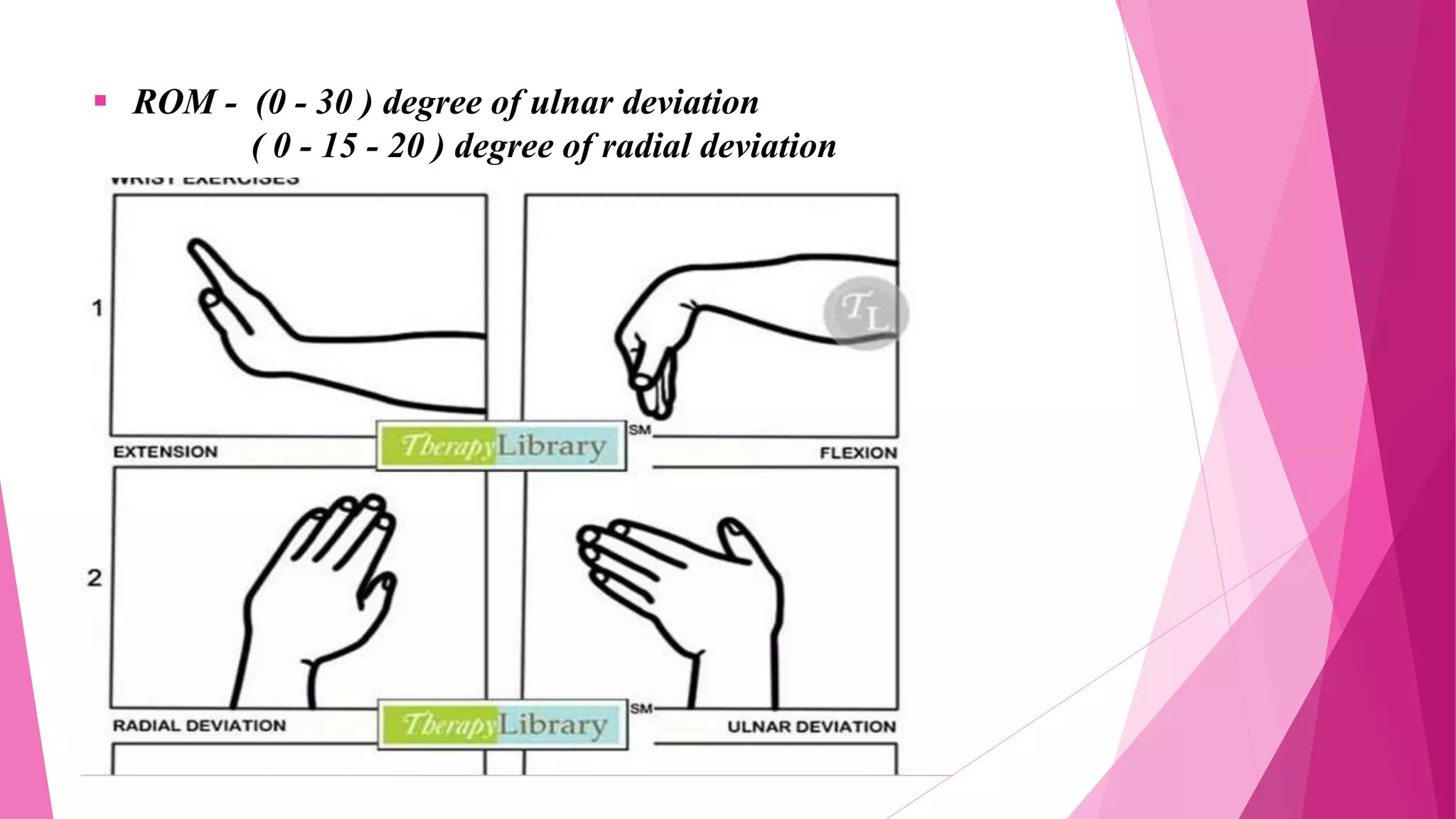 Biomechanics of wrist joint | PPTX