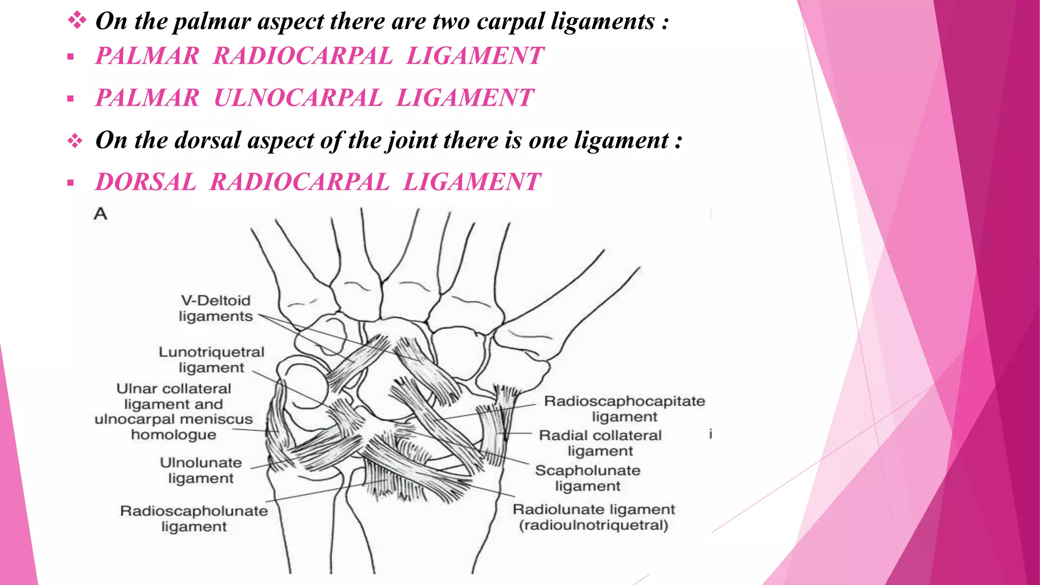 Biomechanics of wrist joint | PPTX