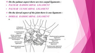 Biomechanics of wrist joint | PPTX