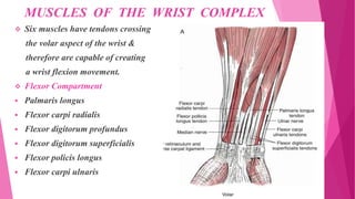 Biomechanics of wrist joint | PPTX