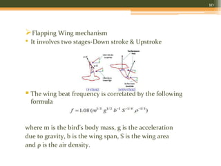 Adarsh tf17001.flapping wing mav | PPTX | Birdwatching | Hobbies ...