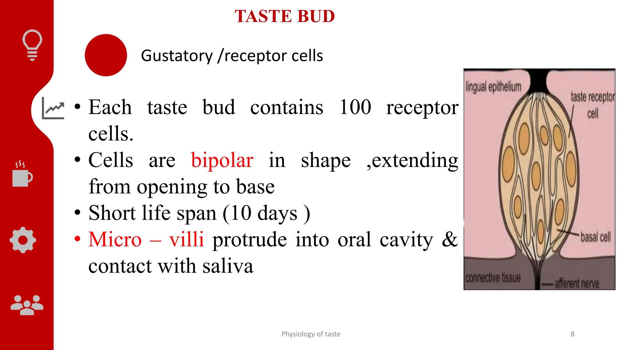 Group incomplete presentation on physiology of taste.pptx