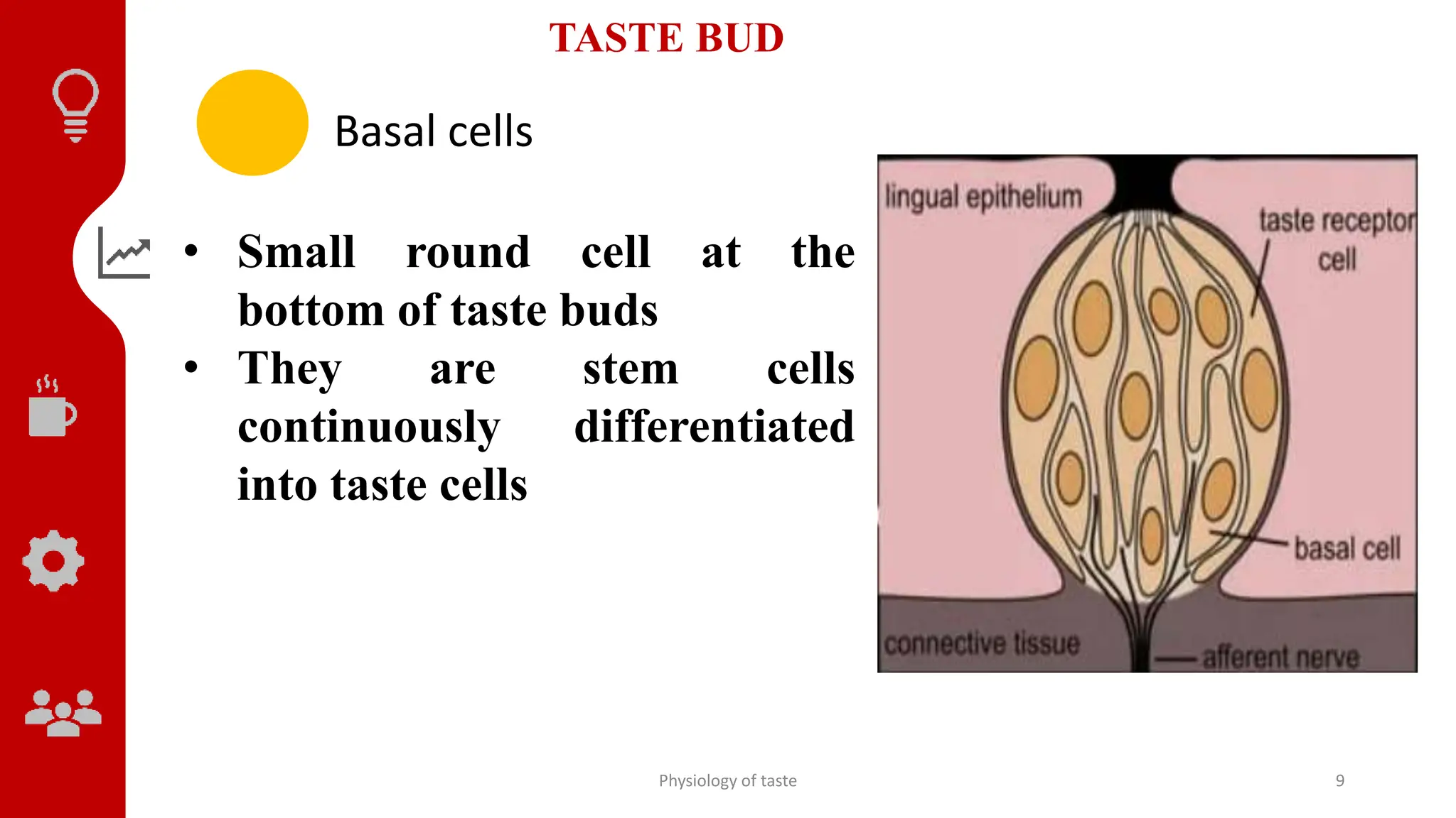 Group incomplete presentation on physiology of taste.pptx