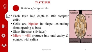 Group incomplete presentation on physiology of taste.pptx