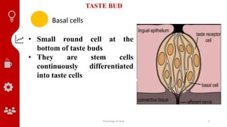 Group incomplete presentation on physiology of taste.pptx