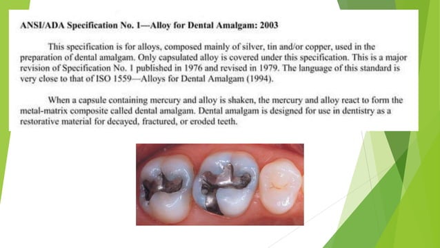 ADA specifications.pptx
