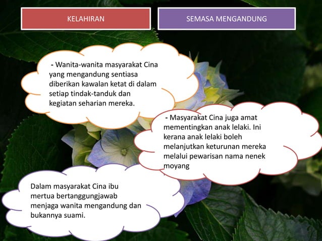 Adat kaum cina | PPTX