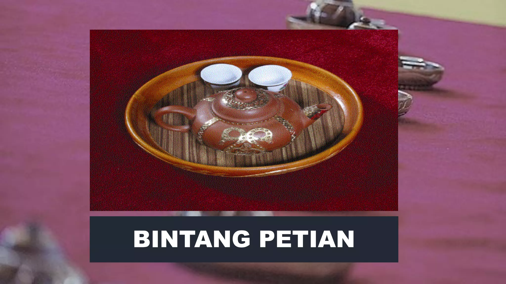 Adat Istiadat Diraja, Tahun 9 UNIK, Kumpulan 2 | PDF