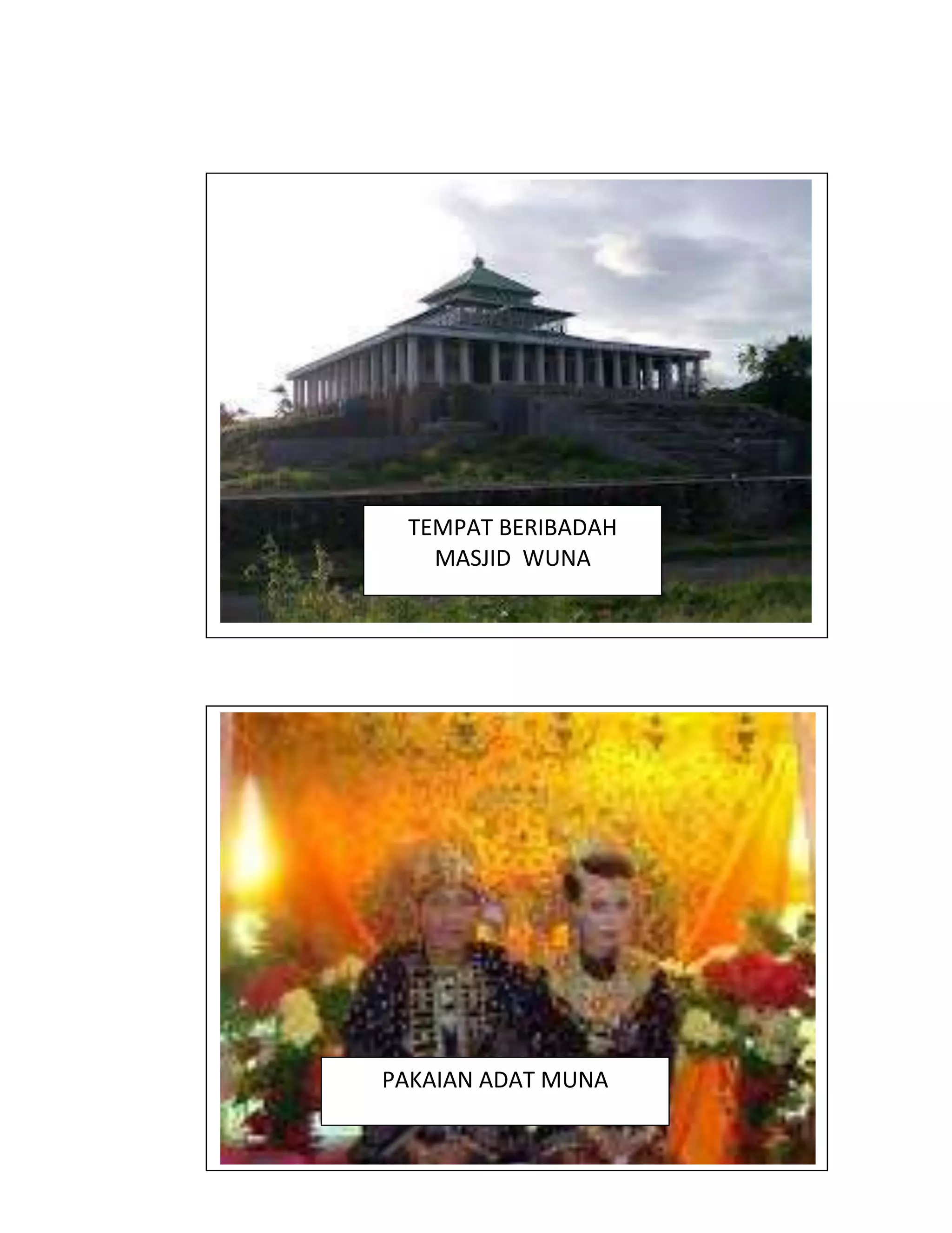 Adat istiadat kabupaten muna | DOCX