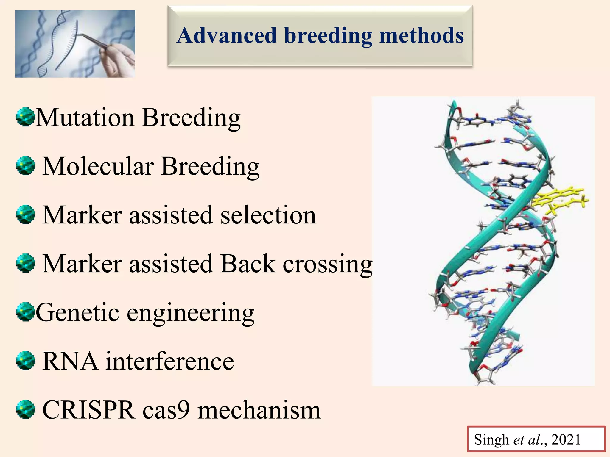 Adavanced Breeding Methods for quailty improvement in solanaceous ...