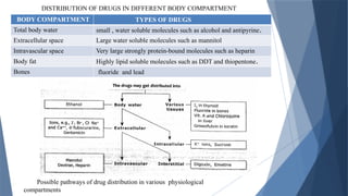 Drug Distribution in Pharmacology: Mechanisms, Barriers, Factors ...