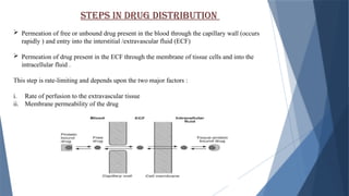 Drug Distribution in Pharmacology: Mechanisms, Barriers, Factors ...