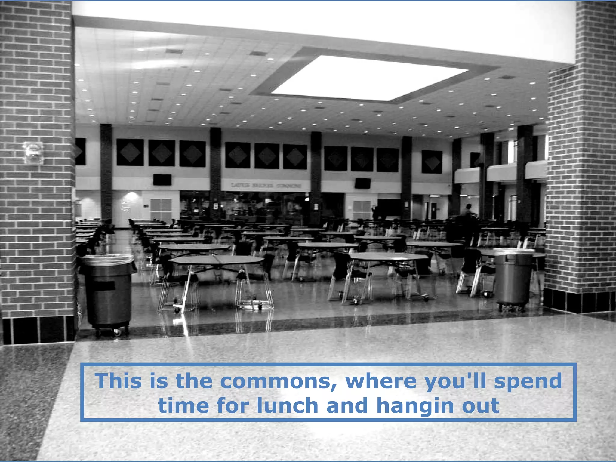 A day in the life finished | PPT