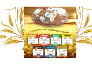 Taflan Flour Mill Products Catalogue | PDF