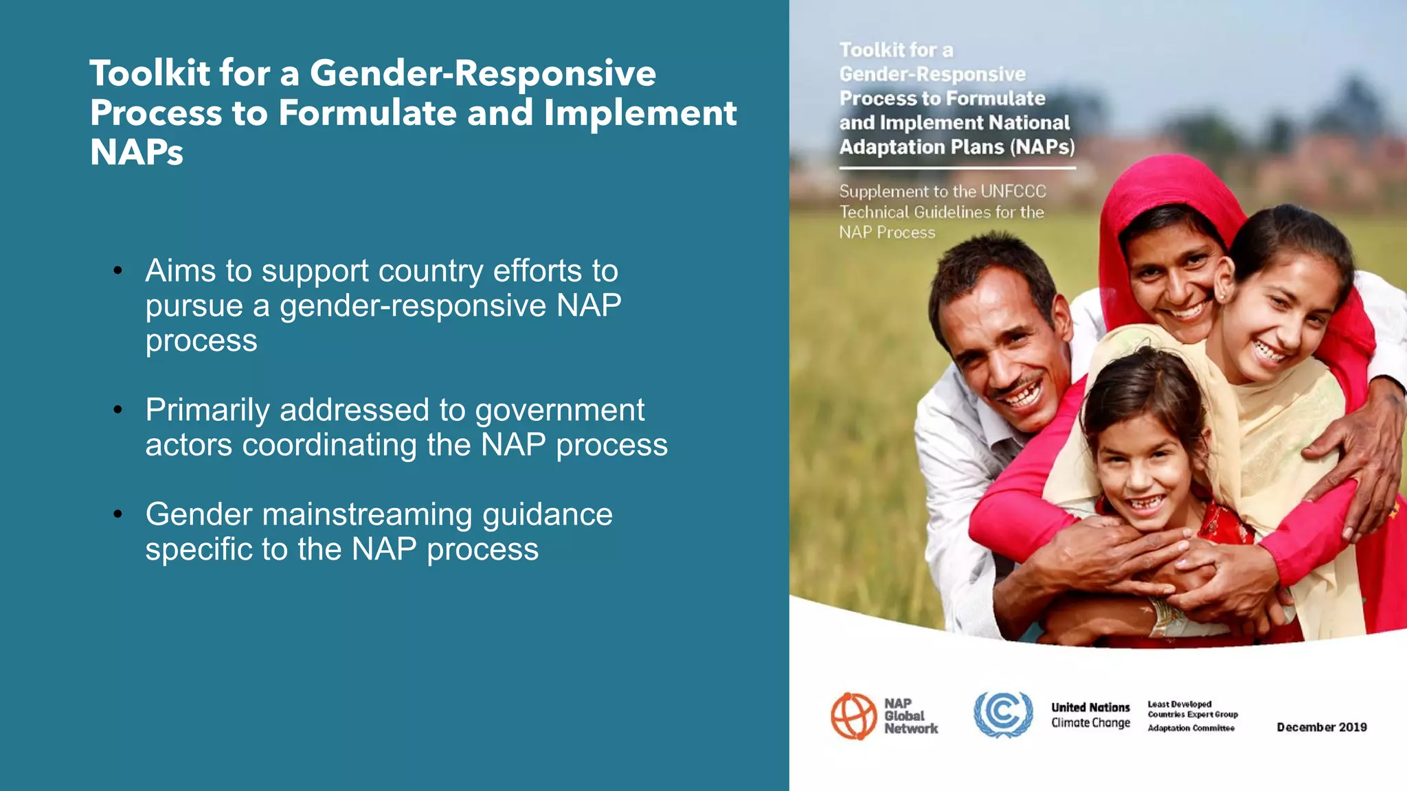 How countries can pursue gender-responsive: National Adaptation Plan (NAP) processes | PDF