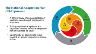 How countries can pursue gender-responsive: National Adaptation Plan ...