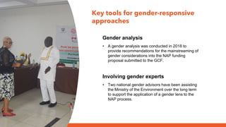 How countries can pursue gender-responsive: National Adaptation Plan (NAP) processes | PPT