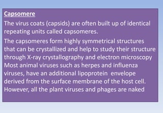 viruses_tobacco mosaic virus First semester part_1 | PPT