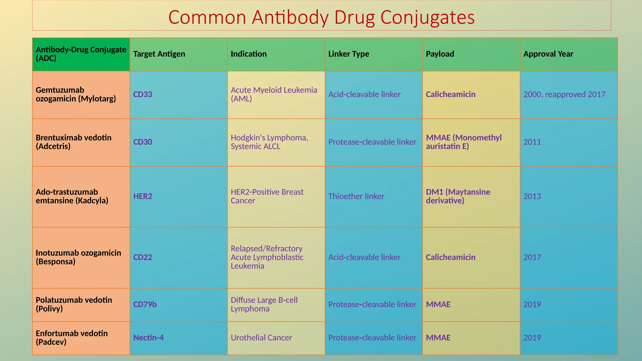 Antibody Drug Conjugates (ADCs): Basics.pptx